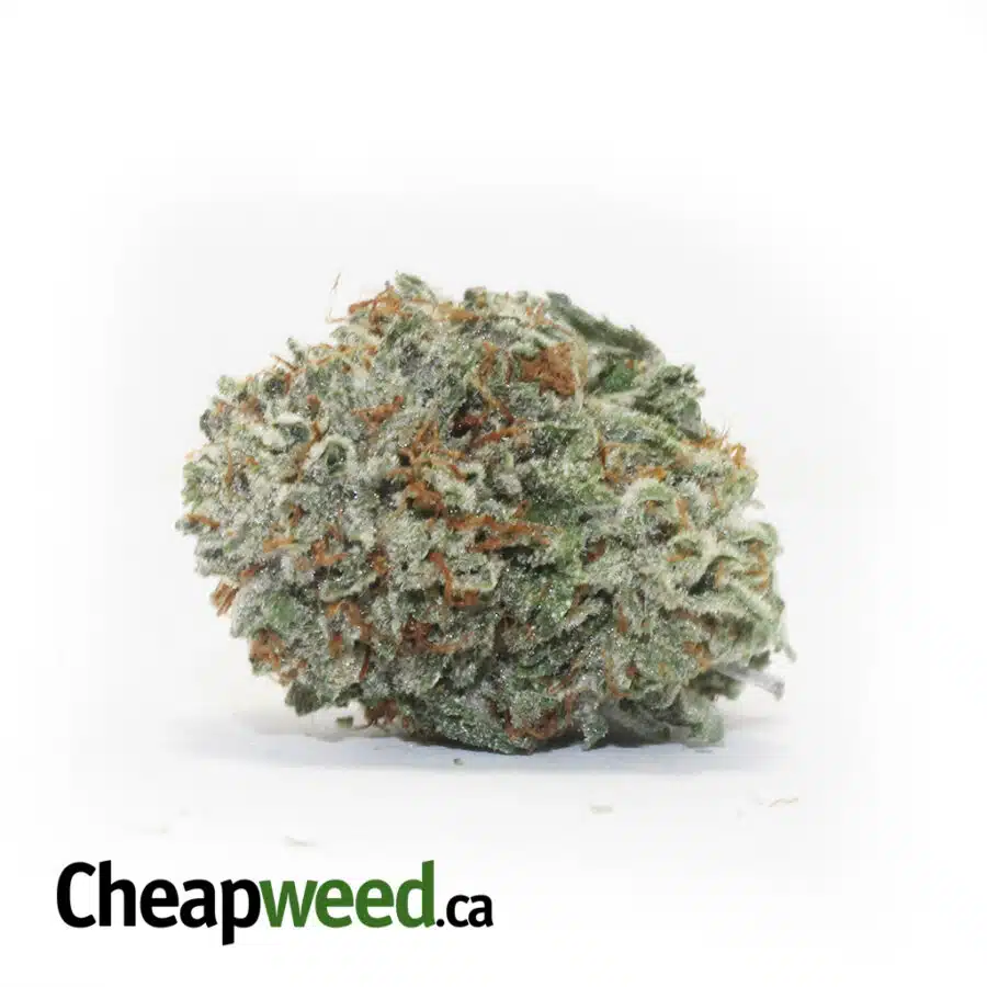 Buy Bulk Diamond OG Strain - Cheap Weed Pounds & Reviews