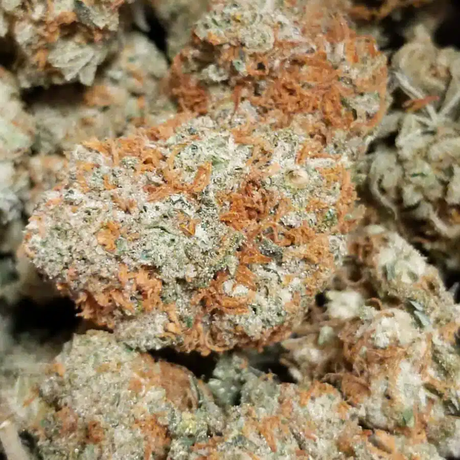 Buy Bulk $73 Oz - Fire OG Strain - Cheap Weed Pounds & Reviews
