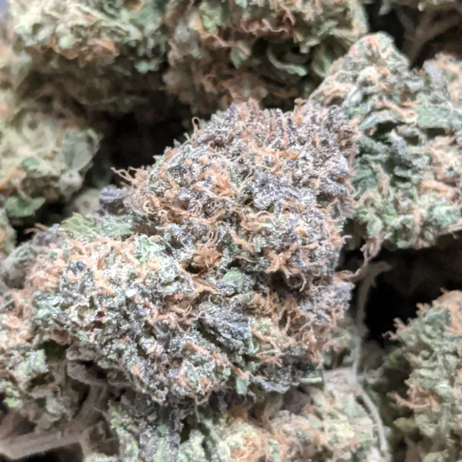 Buy Bulk $89 Oz - Fruit Punch Strain - Cheap Weed Pounds & Reviews