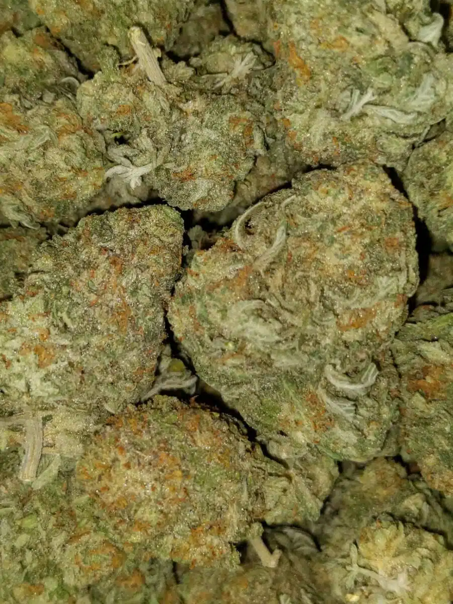 Buy Bulk $79 Oz - East Coast Sour Diesel Strain - Cheap Weed Pounds ...