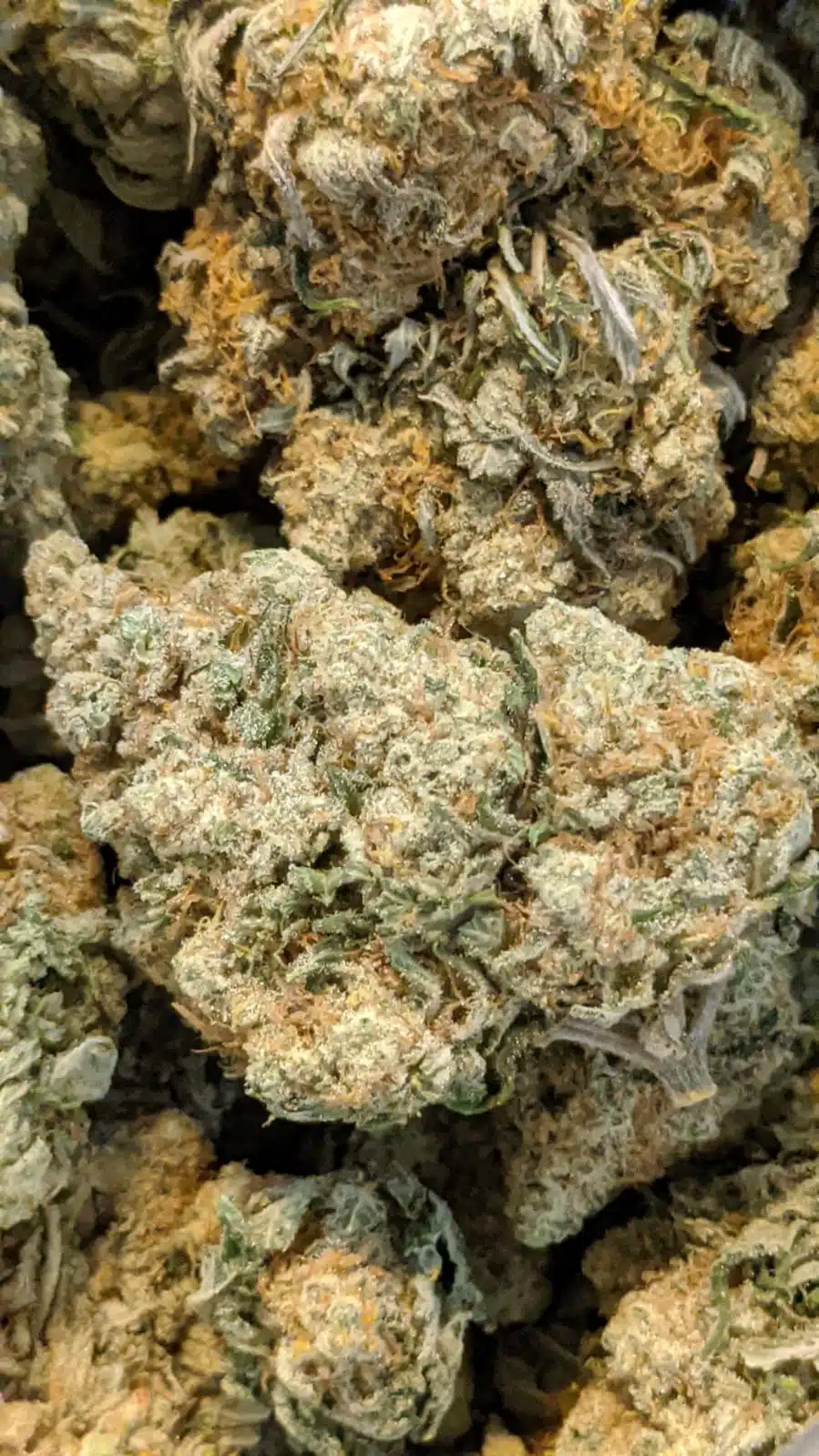 Buy Bulk $99 Oz - Lemon Kush x Vortex Strain - Cheap Weed Pounds & Reviews