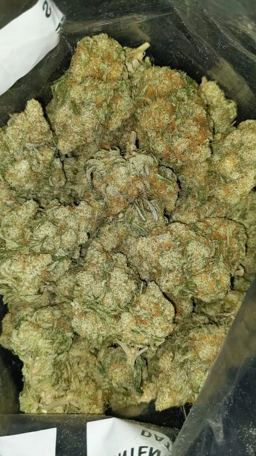 Buy Bulk $99 Oz - Lemon Kush x Vortex Strain - Cheap Weed Pounds & Reviews