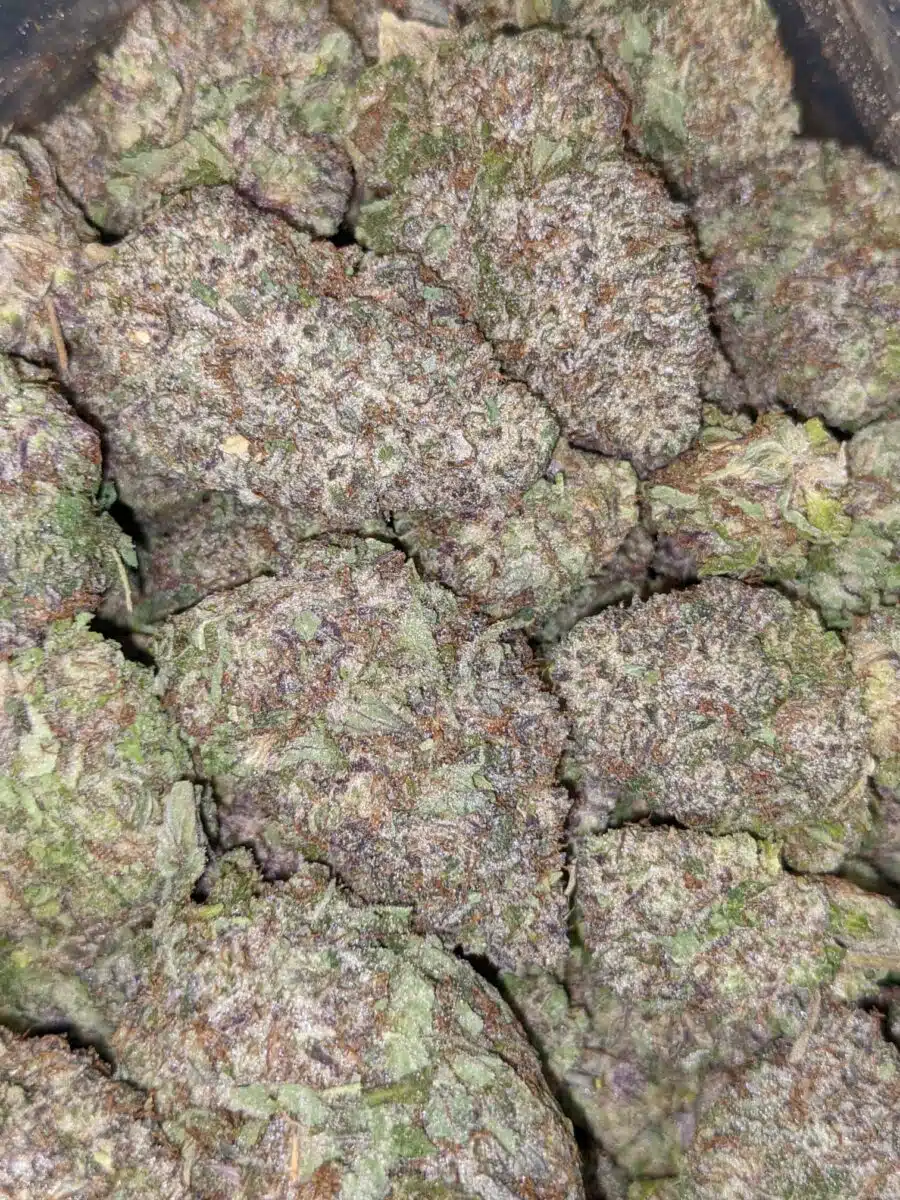 Buy Bulk $89 Oz - Black Mamba Strain - Cheap Weed Pounds & Reviews