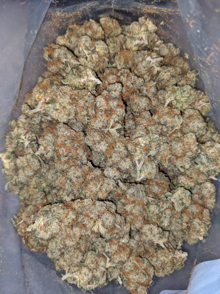 Buy Bulk Lemon Zest - *Deal of the Day* Strain - Cheap Weed Pounds ...