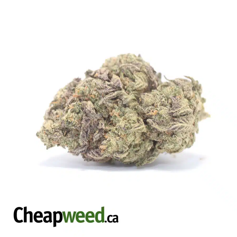 Buy Bulk Pink Wagyu Strain - Cheap Weed Pounds & Reviews