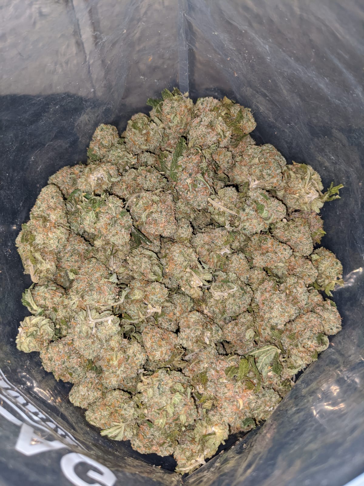 Buy Bulk Pandora's Box Strain - Cheap Weed Pounds & Reviews