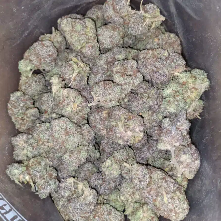 Buy Bulk Weed Online at Cheap Weed | Canada's #1 Dispensary