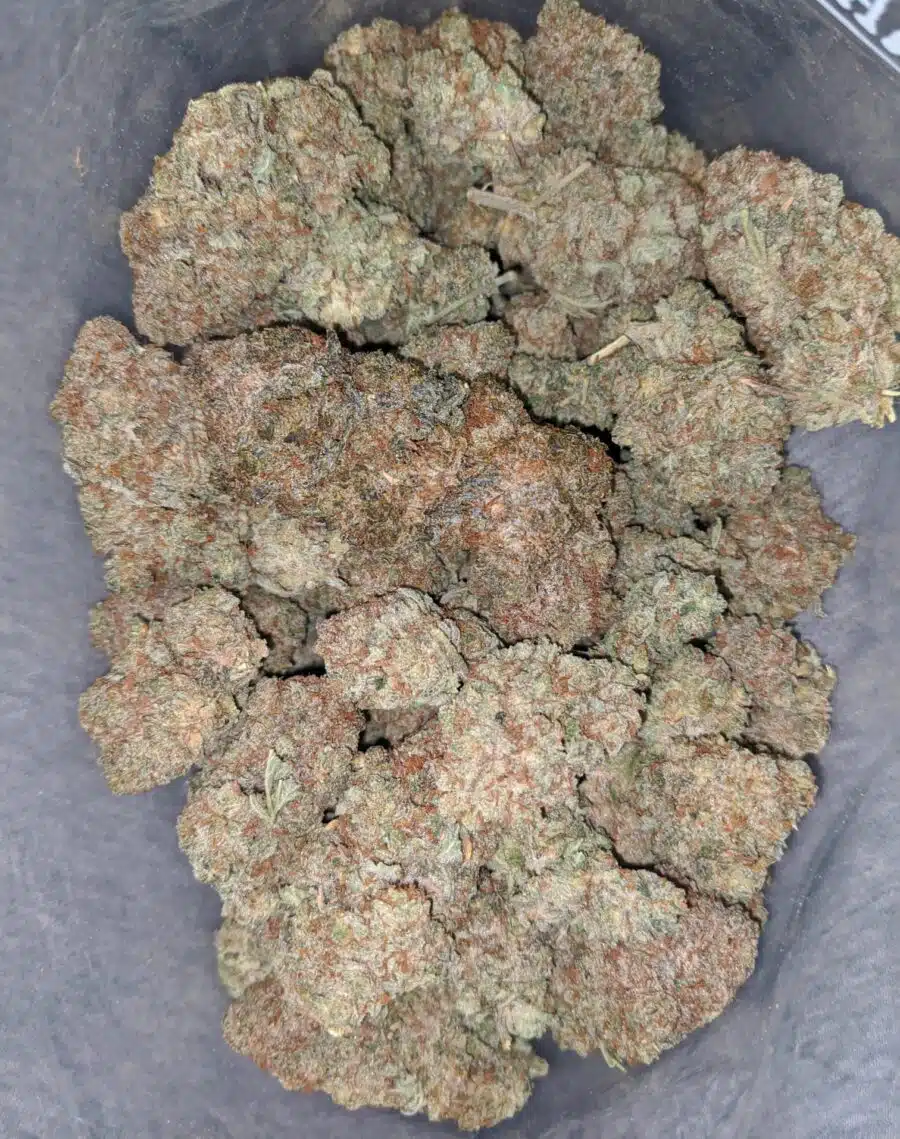 Buy Bulk Jack The Ripper Strain - Cheap Weed Pounds & Reviews