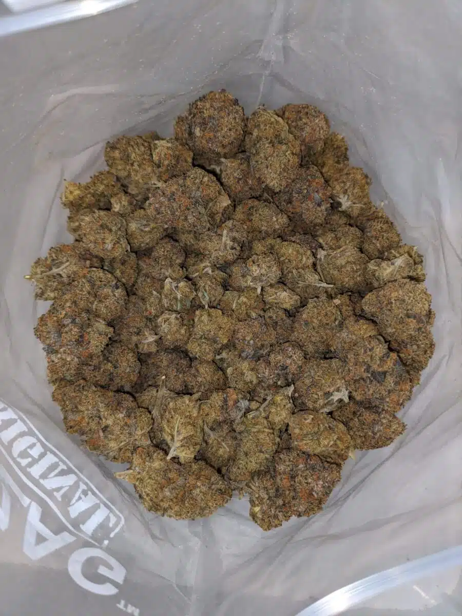 Buy Bulk $109 Oz - Agent Orange Strain - Cheap Weed Pounds & Reviews