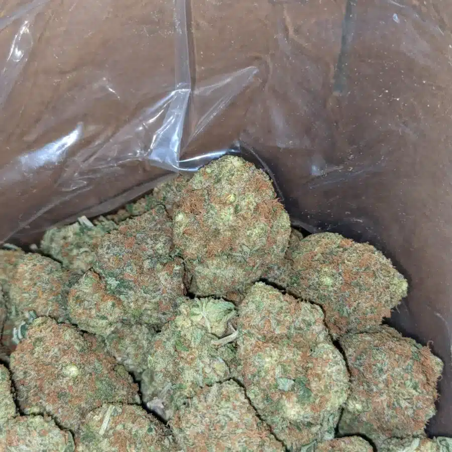 Buy Bulk Weed Online at Cheap Weed | Canada's #1 Dispensary