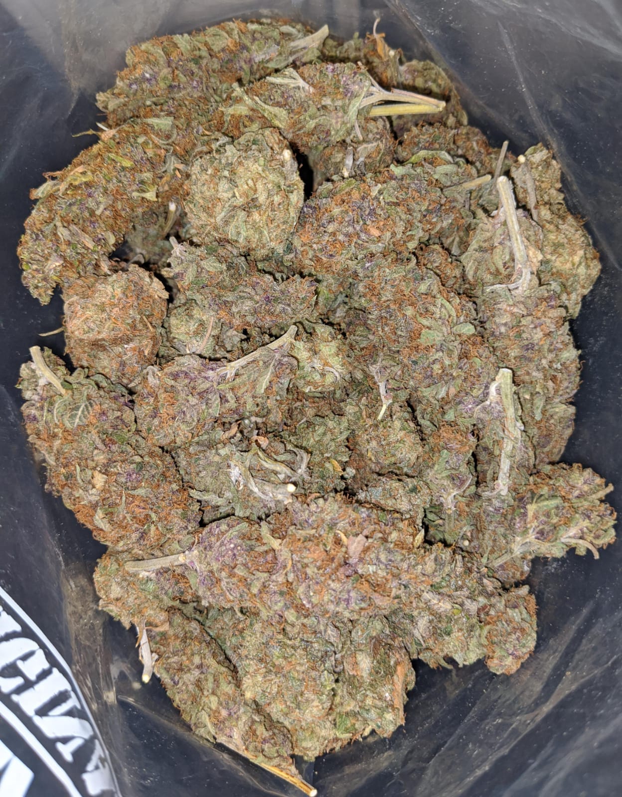 Buy Bulk Purple Pandora's Box Strain - Cheap Weed Pounds & Reviews