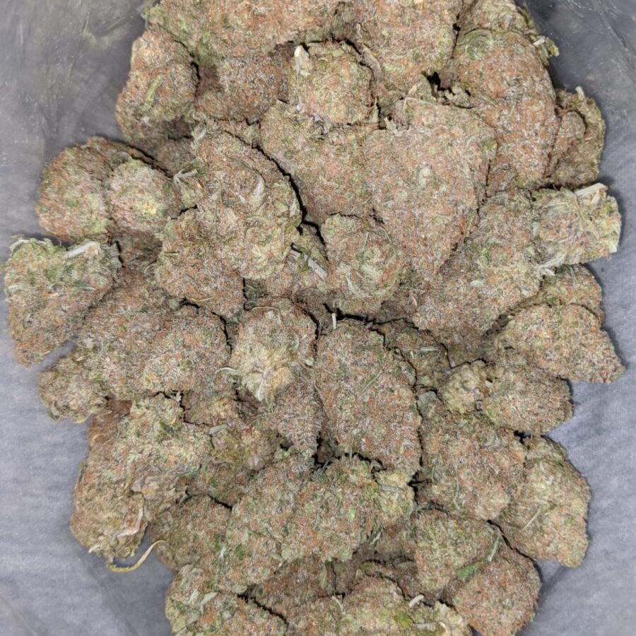 Buy Bulk Black Cherry Punch Strain - Cheap Weed Pounds & Reviews