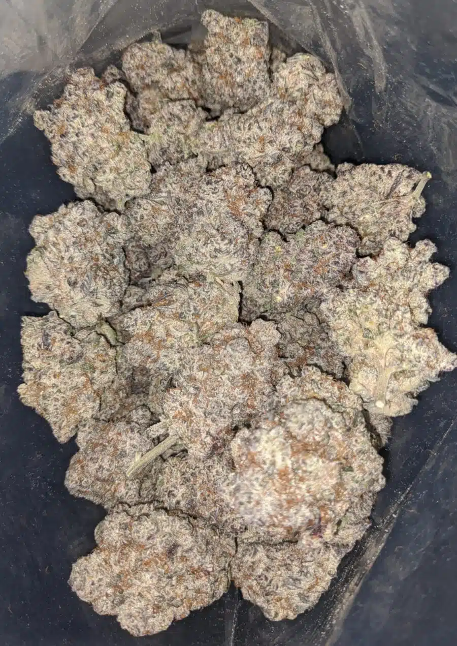 Buy Bulk $ 150 Oz - La Kush Breath Strain - Cheap Weed Pounds & Reviews