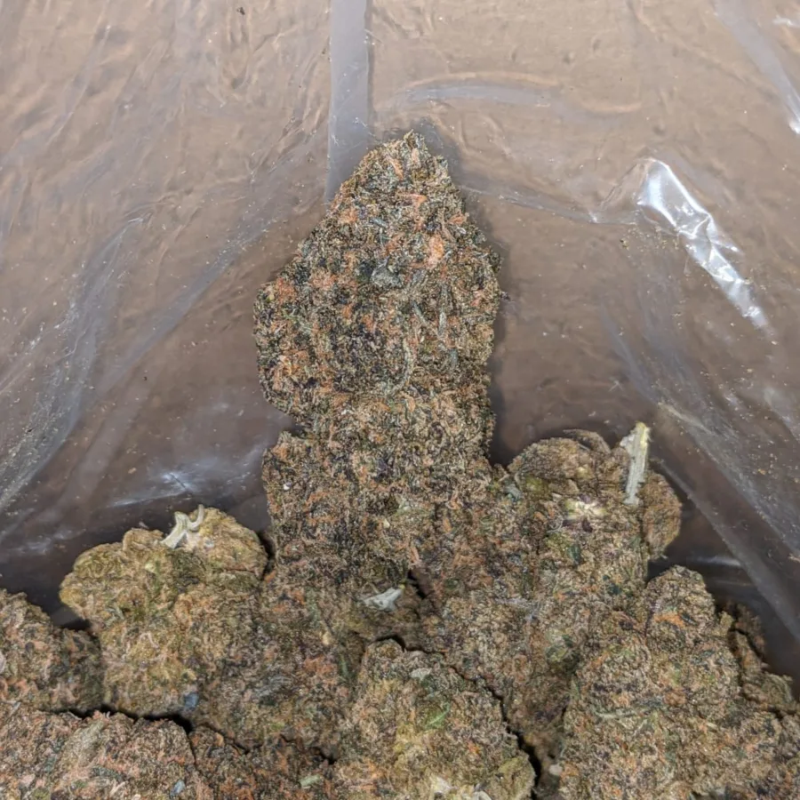 Buy Bulk Weed Online at Cheap Weed | Canada's #1 Dispensary