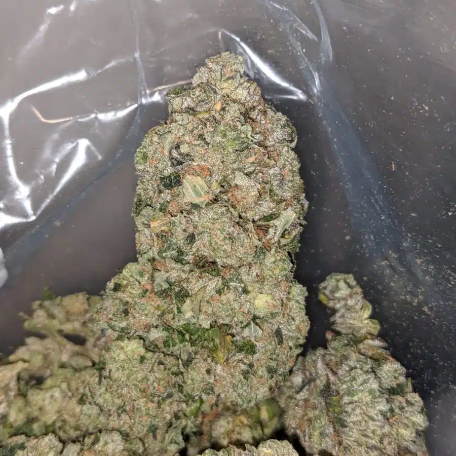 Buy Bulk Cali Cookies Strain - Cheap Weed Pounds & Reviews