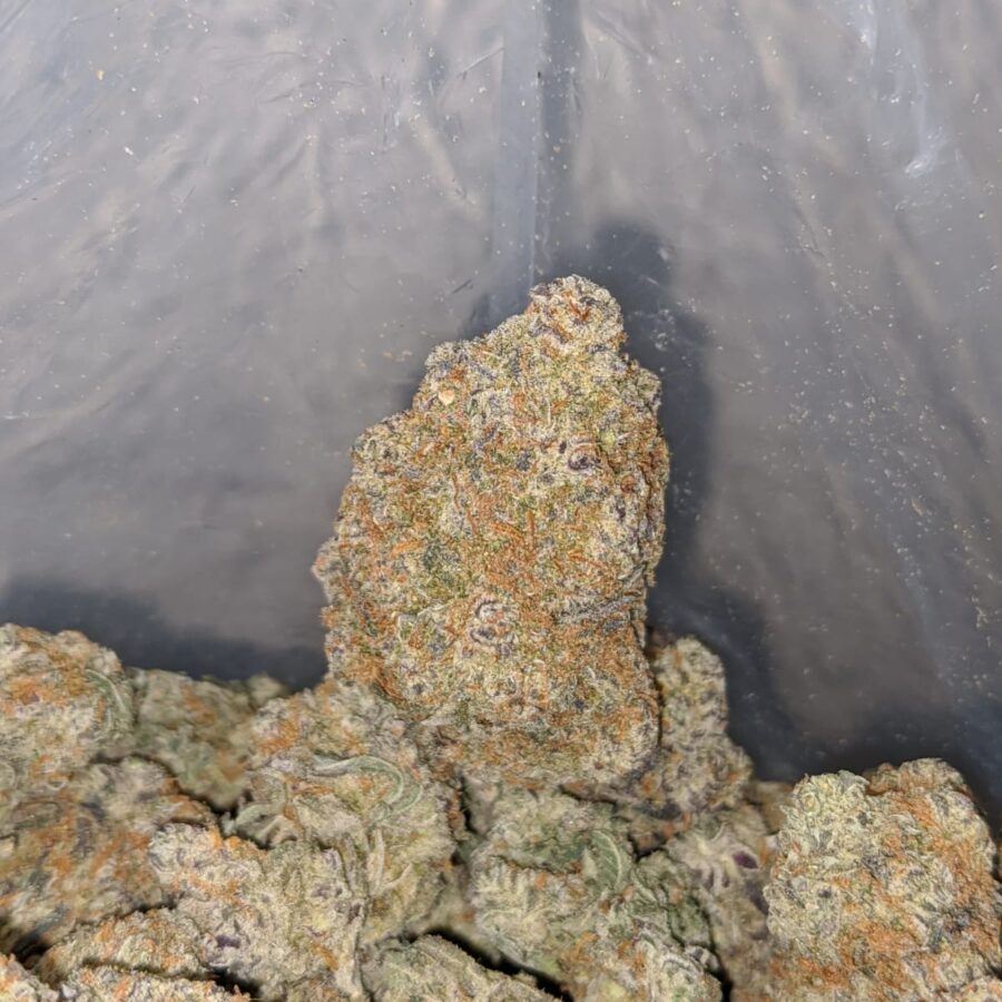 Buy Bulk Platinum Kush Breath Strain - Cheap Weed Pounds & Reviews