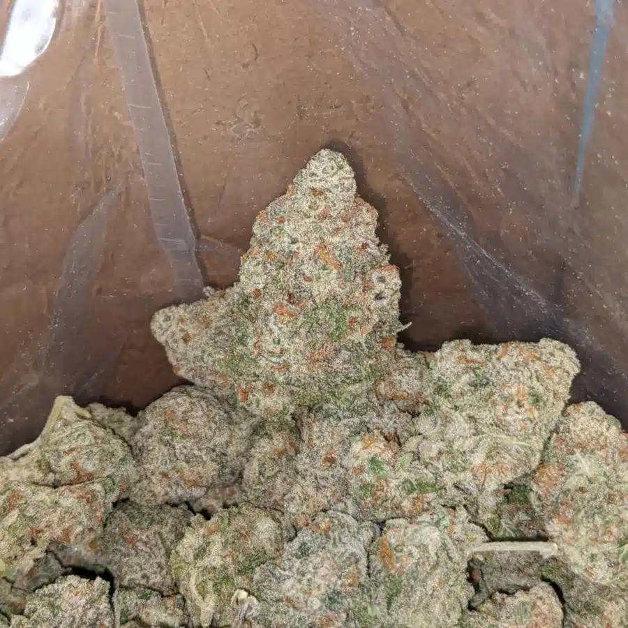 Buy Bulk MAC Strain - Cheap Weed Pounds & Reviews