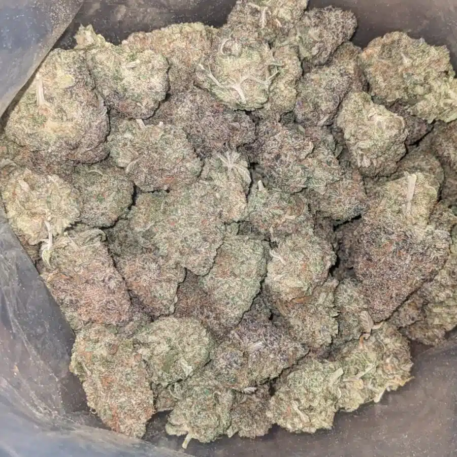 Buy Bulk Gelato #33 Strain - Cheap Weed Pounds & Reviews