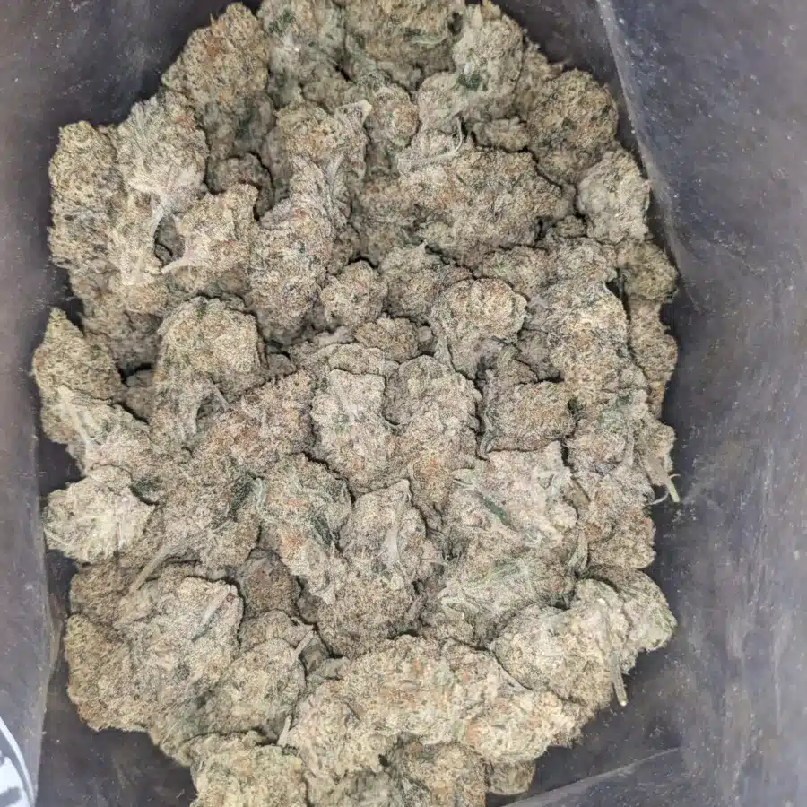 Buy Bulk Lemon Citrus Haze Strain - Cheap Weed Pounds & Reviews