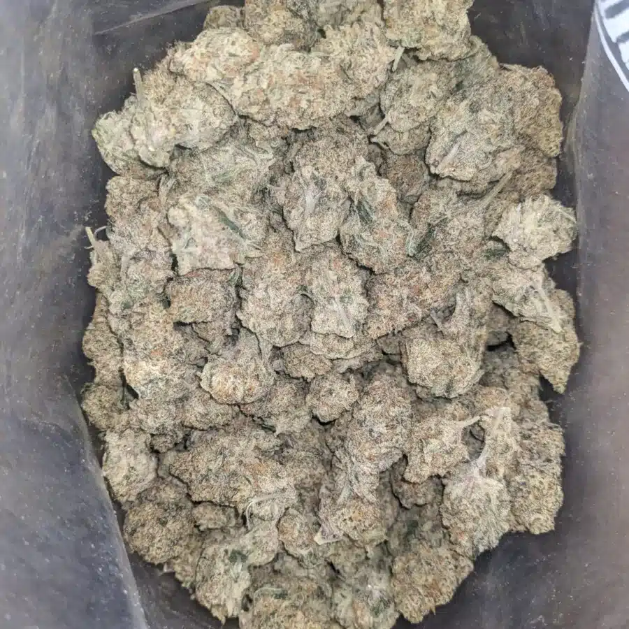 Buy Bulk Lemon Citrus Haze Strain - Cheap Weed Pounds & Reviews