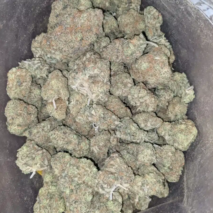 Buy Bulk Weed Online at Cheap Weed | Canada's #1 Dispensary