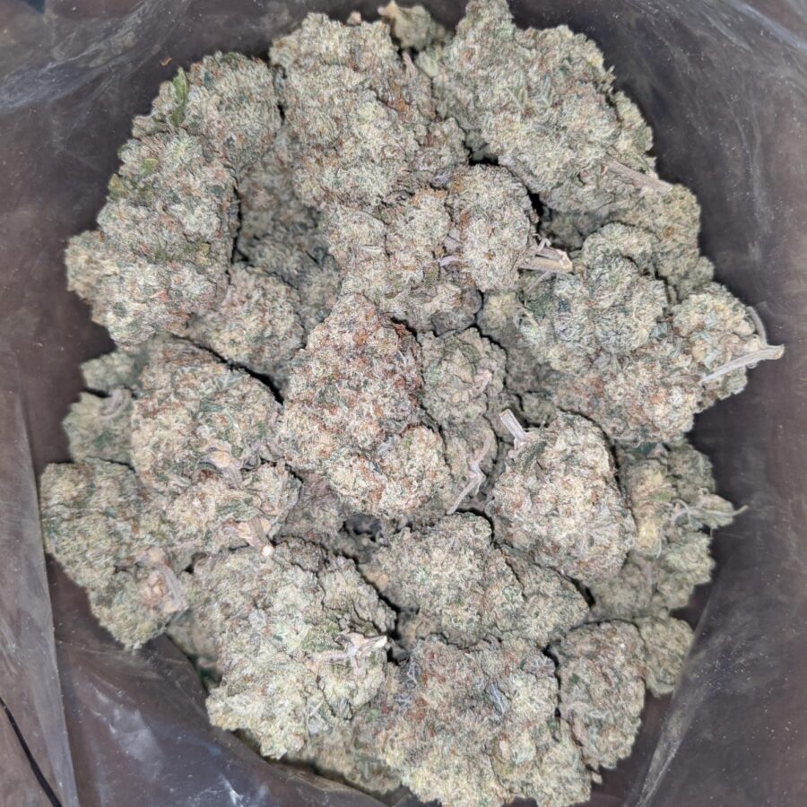Buy Bulk Donkey Kong Strain - Cheap Weed Pounds & Reviews
