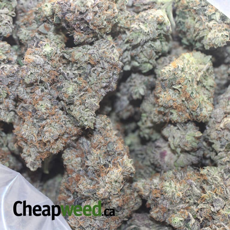 Buy Bulk El Jefe Strain - Cheap Weed Pounds & Reviews