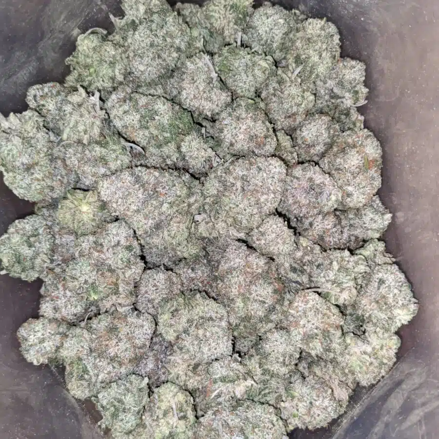 Buy Bulk Weed Online at Cheap Weed | Canada's #1 Dispensary