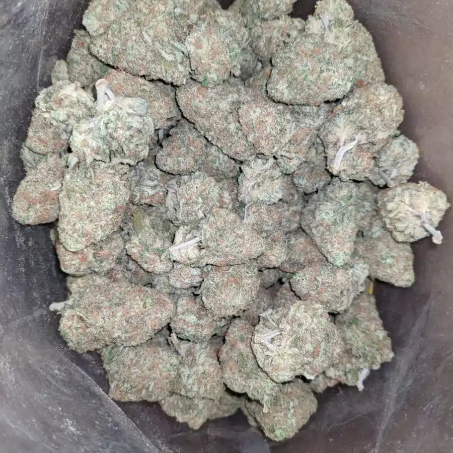Buy Bulk Weed Online at Cheap Weed | Canada's #1 Dispensary