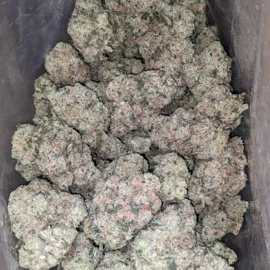 Buy Bulk Tangerine Dream Strain - Cheap Weed Pounds & Reviews