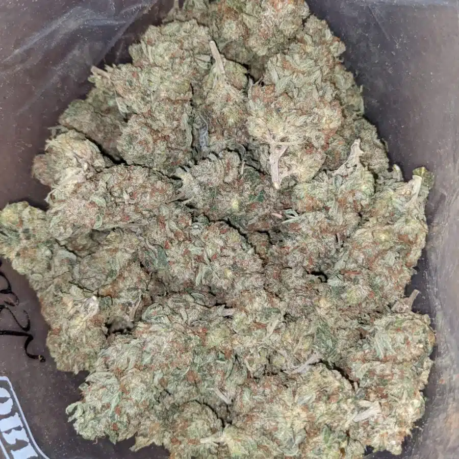 Buy Bulk Weed Online at Cheap Weed | Canada's #1 Dispensary