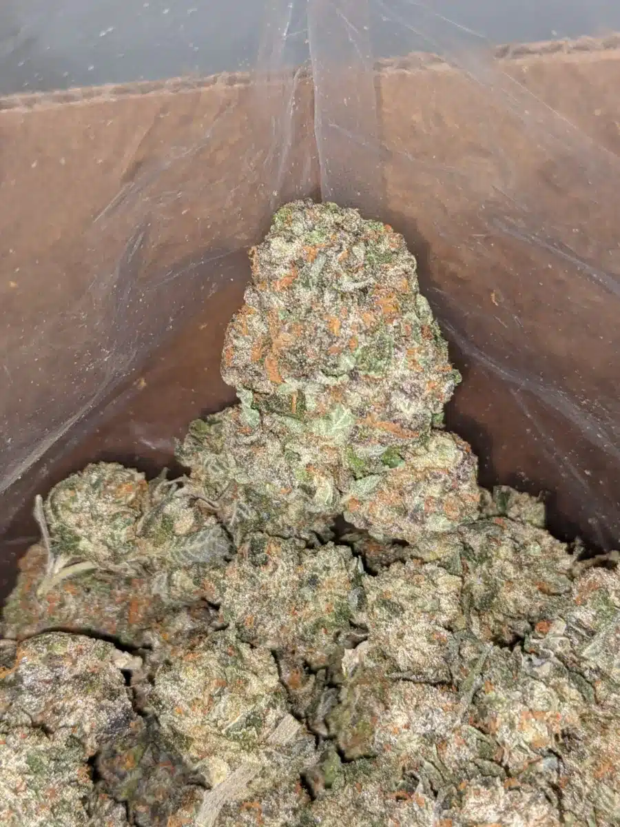 Buy Bulk $ 42 Oz - Runtz Strain - Cheap Weed Pounds & Reviews