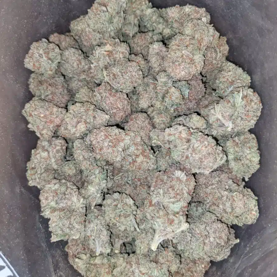 Buy Bulk Weed Online at Cheap Weed | Canada's #1 Dispensary
