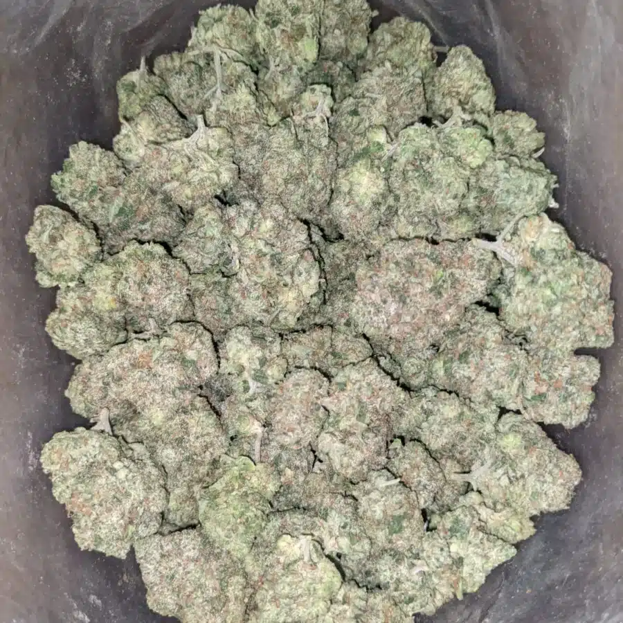 Buy Bulk Weed Online at Cheap Weed | Canada's #1 Dispensary