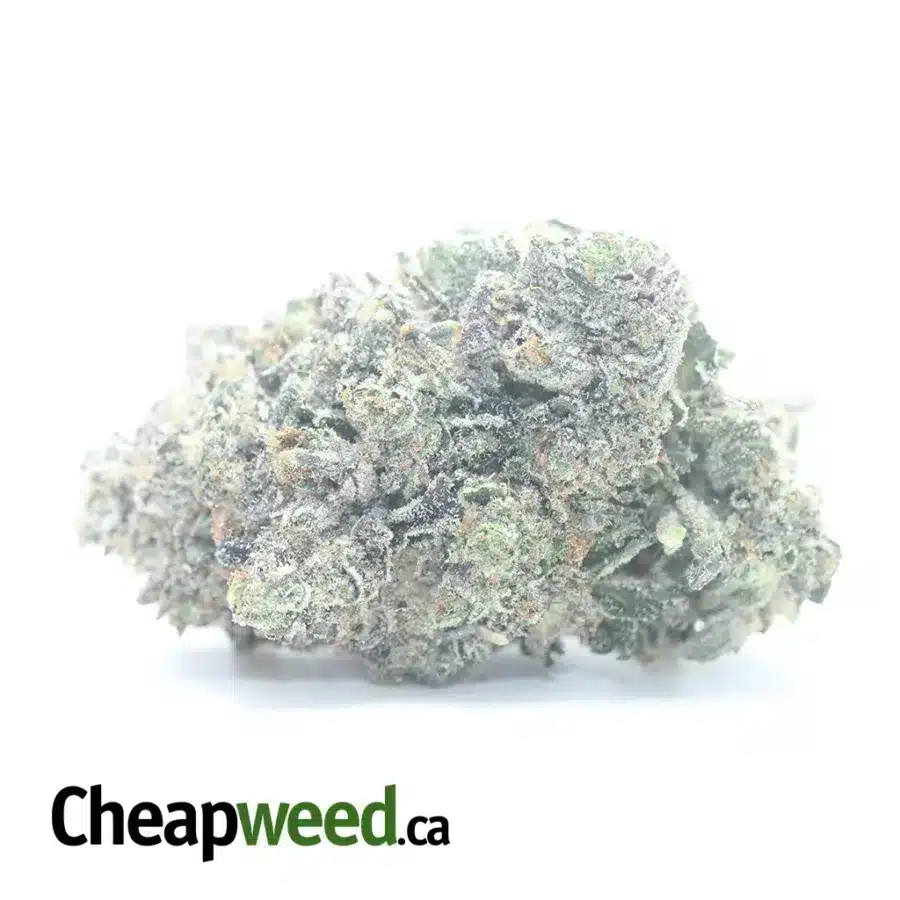 Buy Bulk Weed Online at Cheap Weed | Canada's #1 Dispensary