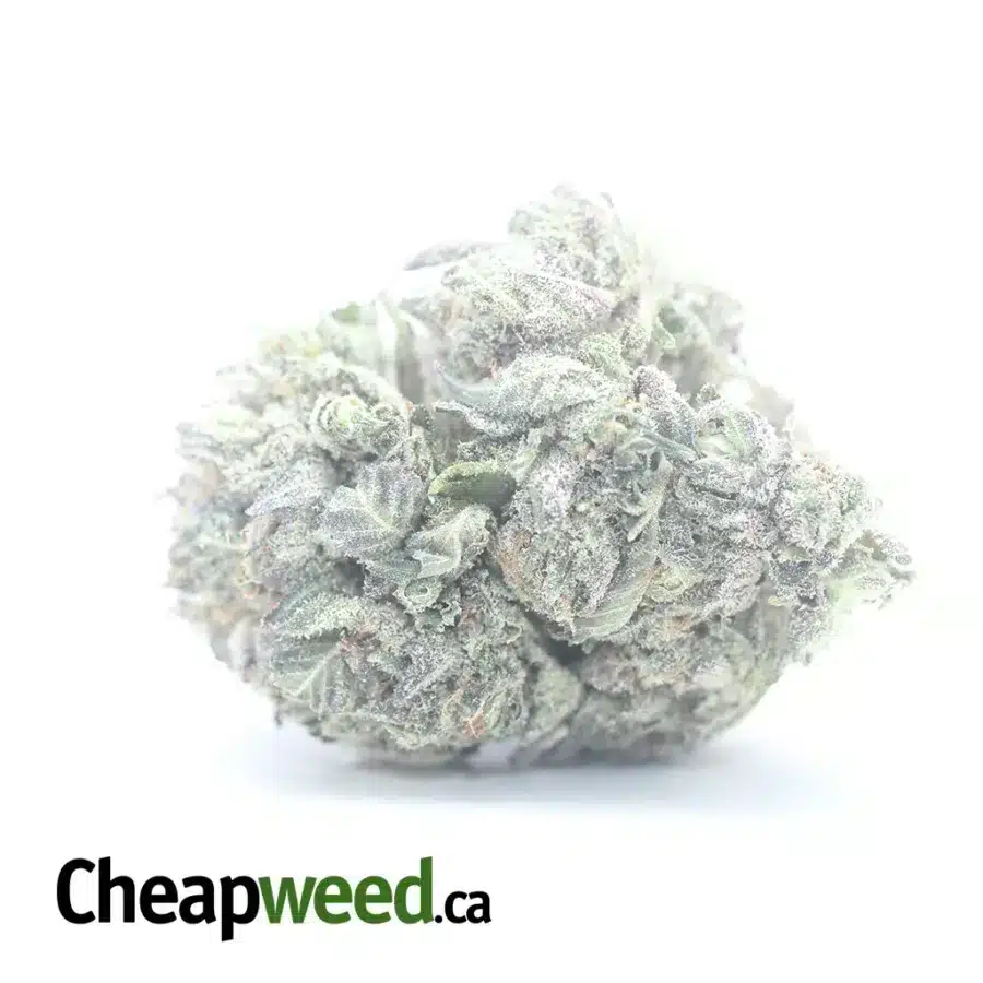 Buy Bulk Weed Online at Cheap Weed | Canada's #1 Dispensary