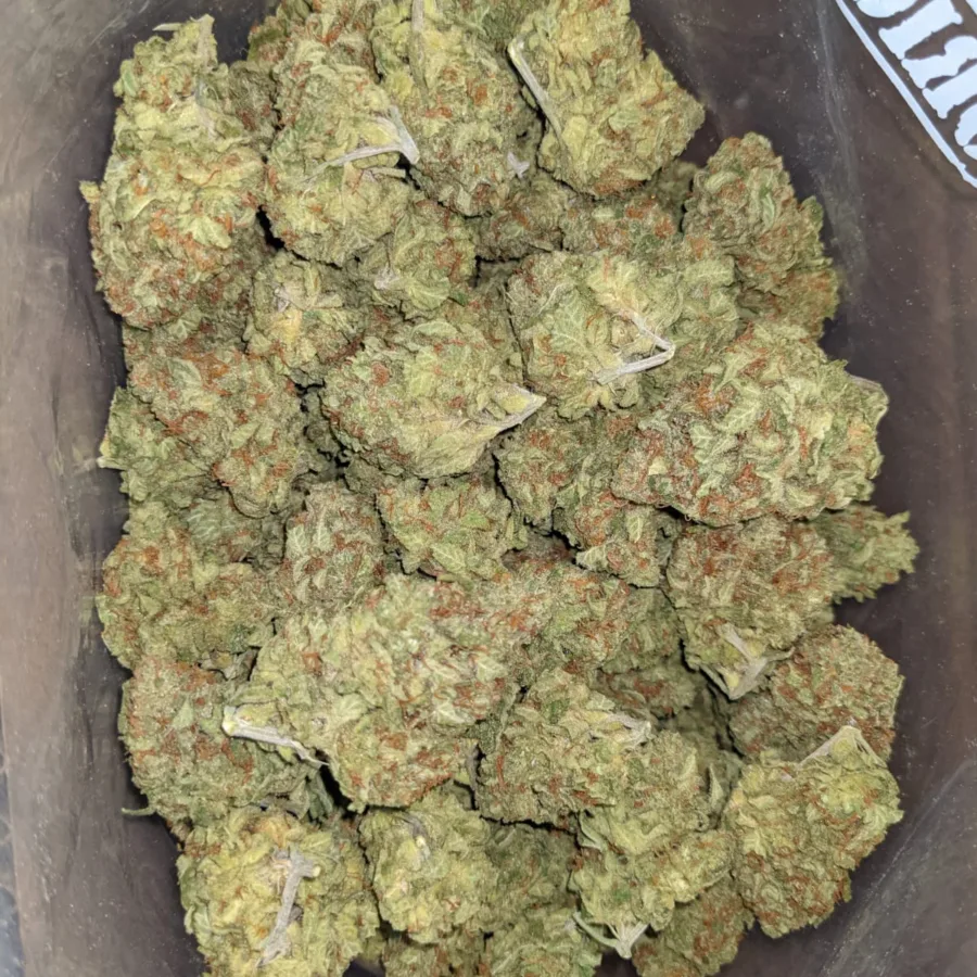 Buy Bulk Master Kush Strain - Cheap Weed Pounds & Reviews