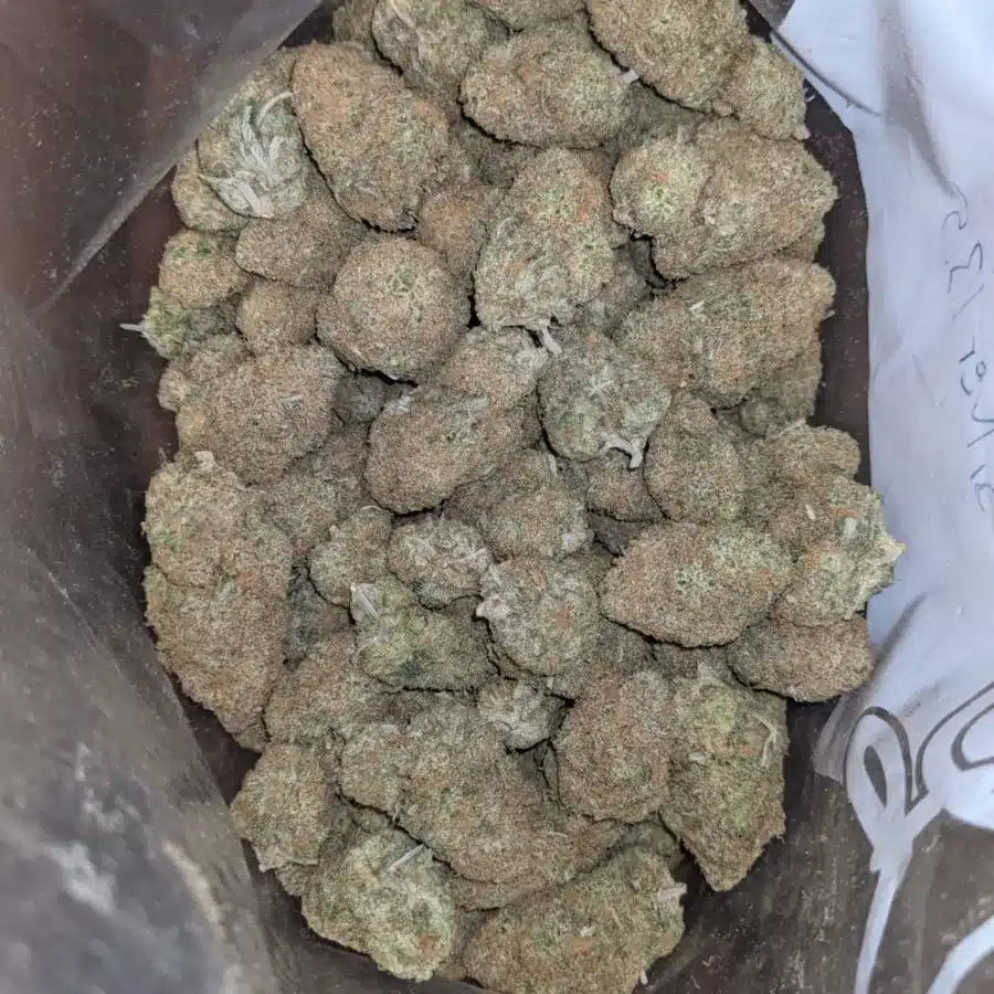 Buy Bulk Weed Online at Cheap Weed | Canada's #1 Dispensary