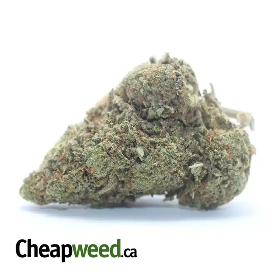 Buy Bulk Weed Online at Cheap Weed | Canada's #1 Dispensary