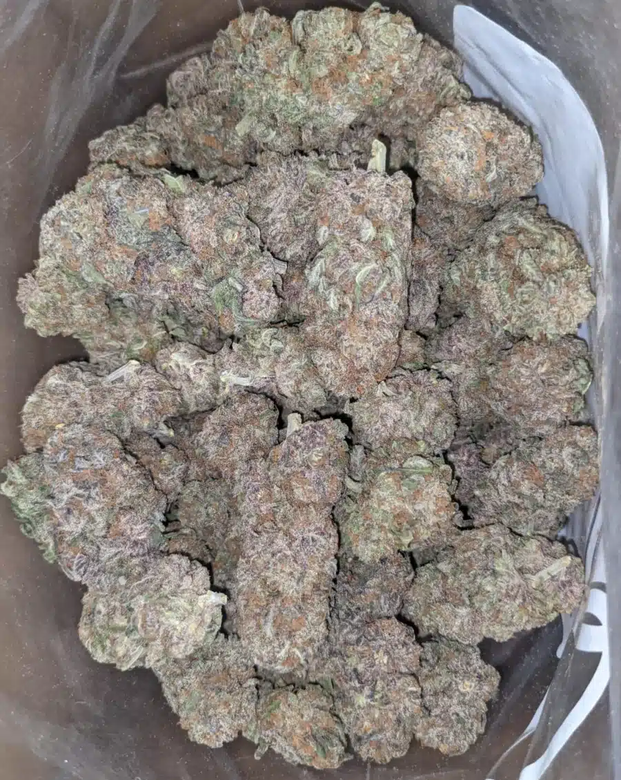 Buy Bulk Purple Haze Strain - Cheap Weed Pounds & Reviews