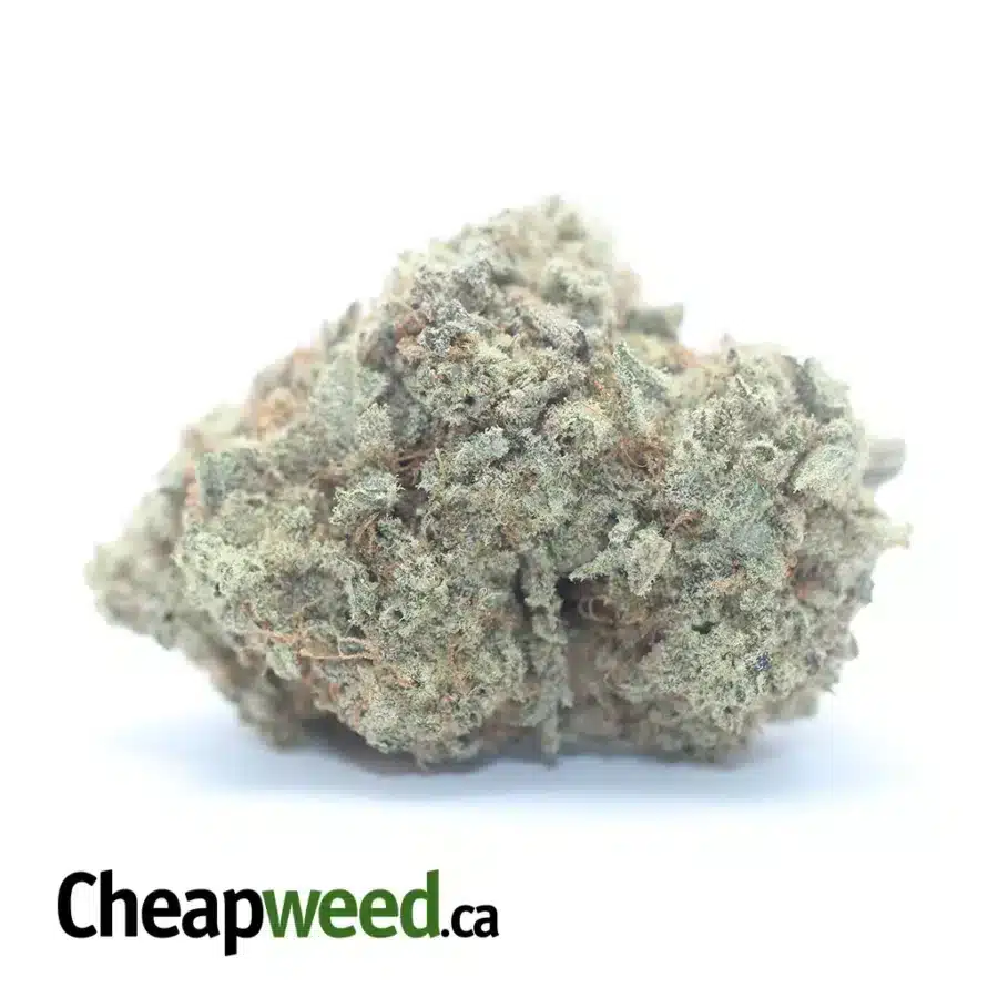 Buy Bulk Triple OG Strain - Cheap Weed Pounds & Reviews