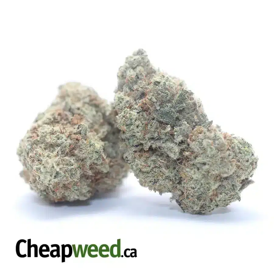 Buy Bulk Weed Online at Cheap Weed | Canada's #1 Dispensary
