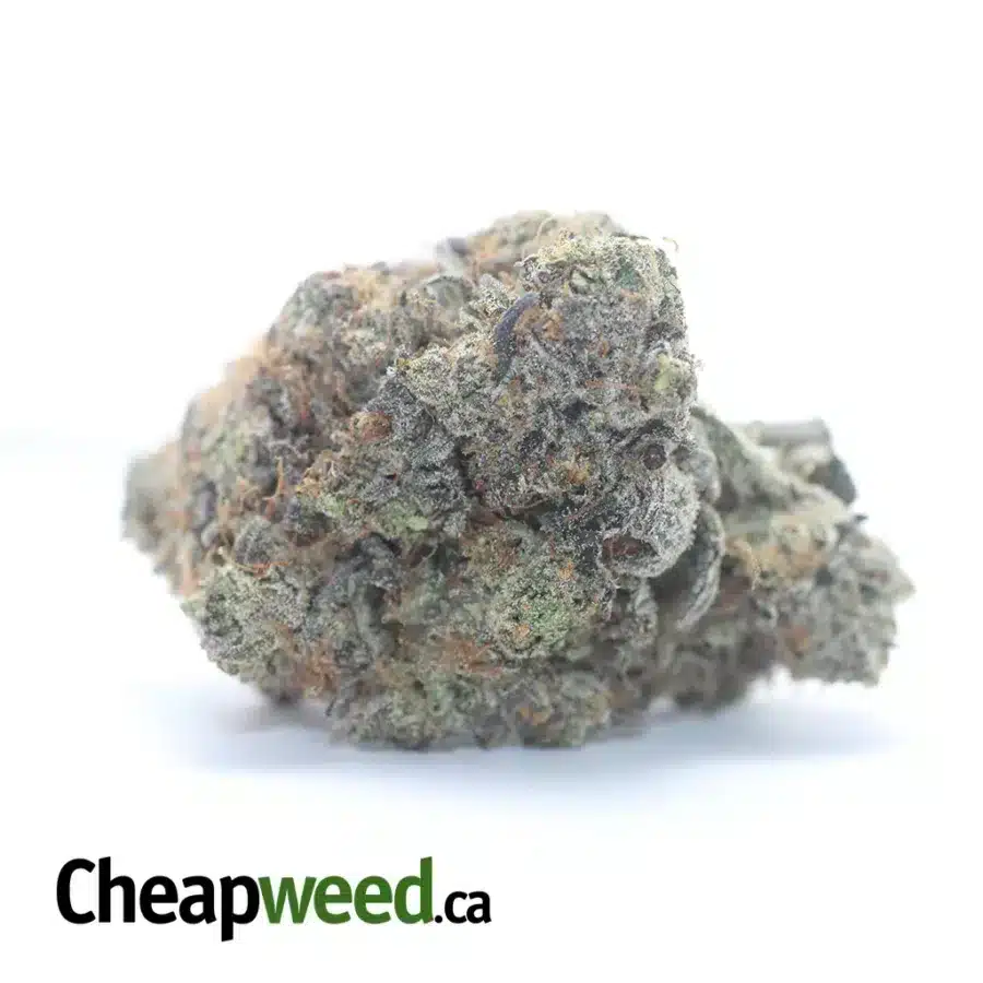 Buy Bulk Weed Online at Cheap Weed | Canada's #1 Dispensary