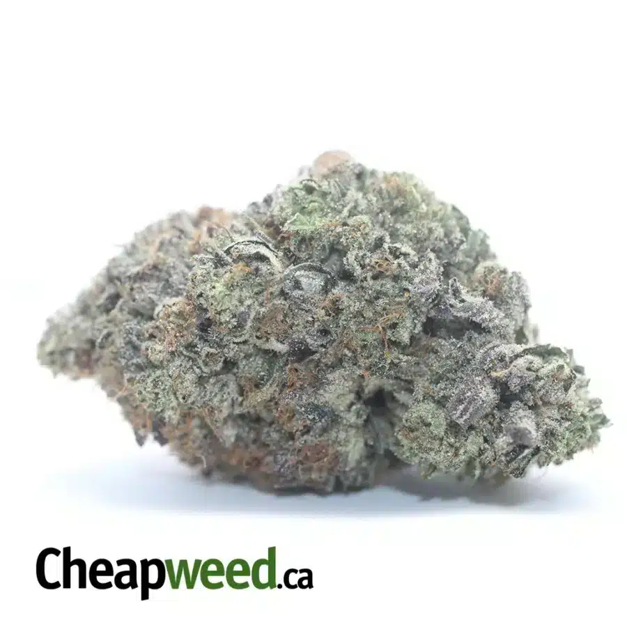 Buy Bulk Weed Online at Cheap Weed | Canada's #1 Dispensary