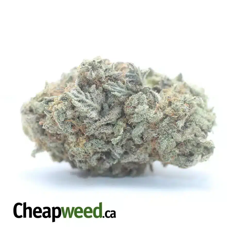 Buy Marijuana Flowers Online Canada- Page 5 of 5 - Cheap Weed