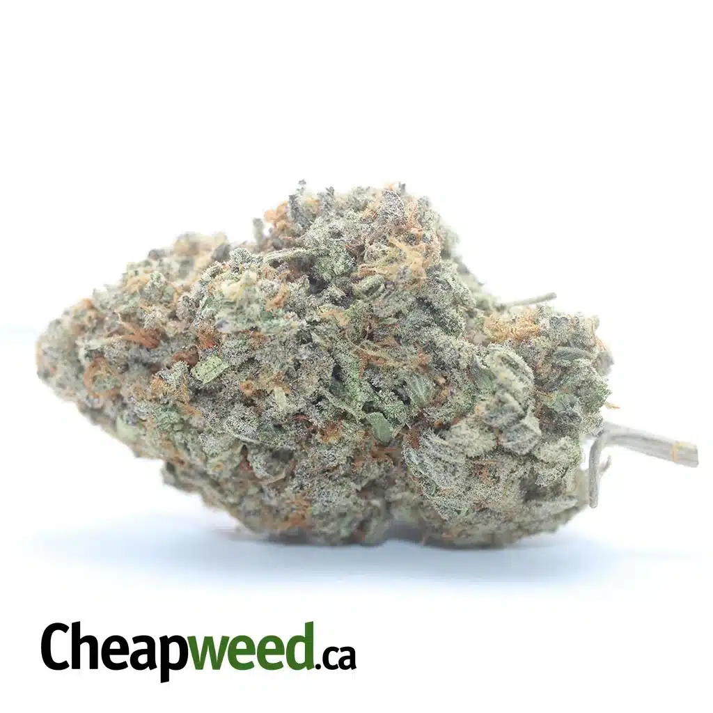 Buy Bulk Atomic Bomb Strain - Cheap Weed Pounds & Reviews