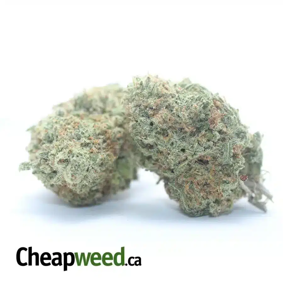 Shop - Cheap Weed
