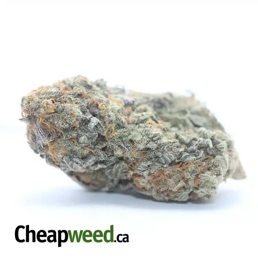 Buy Bulk Weed Online at Cheap Weed | Canada's #1 Dispensary
