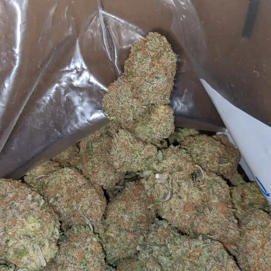 Buy Bulk Gelato Strain - Cheap Weed Pounds & Reviews
