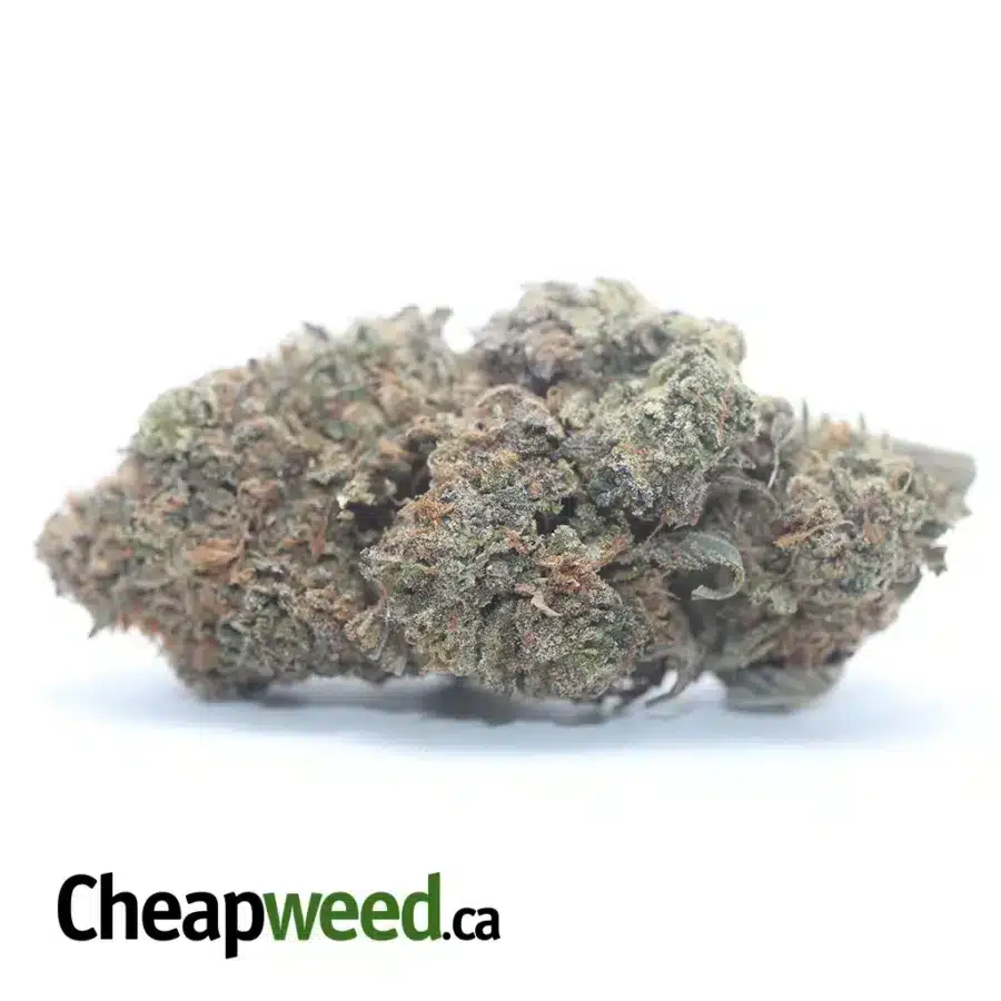 Buy Bulk Weed Online at Cheap Weed | Canada's #1 Dispensary